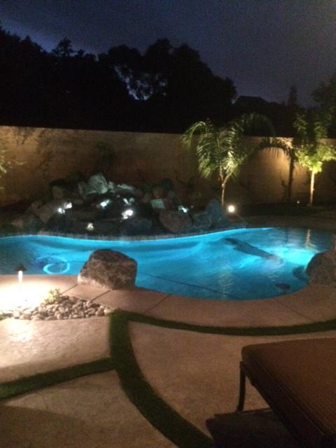 Gallery | Lion Pools